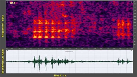 Recording 1 Spectrogram And Time Display Of Part R15 Time Scale 0 1