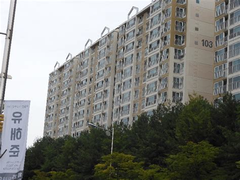 전라북도 전주시 아파트경매 전주시 완산구 효자동3가 1524 2 2022타경36597 네이버 블로그