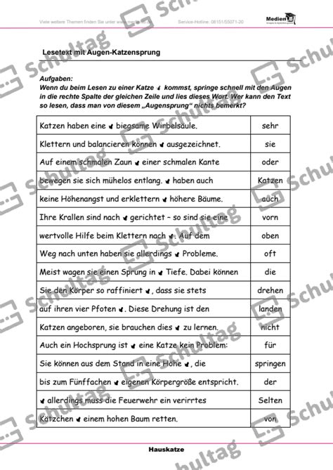 Angeberwissen Schultag
