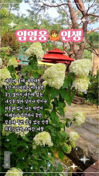 인생💓임영웅 💓인기 트롯트📣사랑의콜센타📣2024722 Youtube