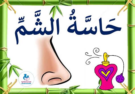 معلقات الحواس الخمسة موقع مدرستي