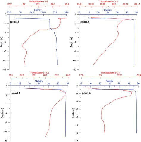 Vertical Profiles Of Temperature And Salinity Obtained With A Ctd