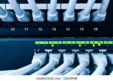 Network Cables Patch Panel Switch Stock Photo Edit Now