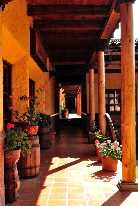 Hotel Posada Don Ramon El Mejor Lugar Para Hospedarte Con Tus Mascotas