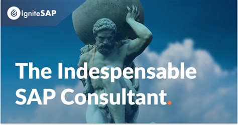 Ignitesap On Linkedin The Indispensable Sap Consultant Ignitesap