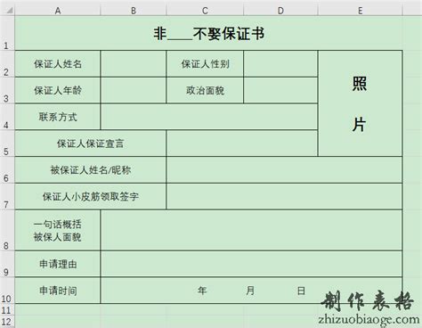 Excel电子版表格非 不娶保证书 制作表格