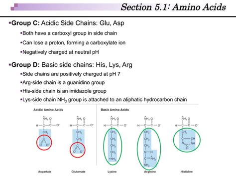 Peptides And Classification Of Peptides Slidespdf