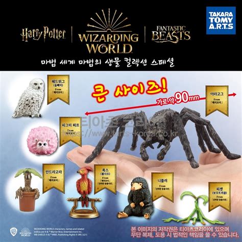 T Arts Korea