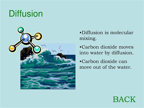 The Carbon Cycle Ppt Download