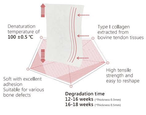 Resorbable Collagen Membranes For Gbr And Gtr Dental Medical Devices