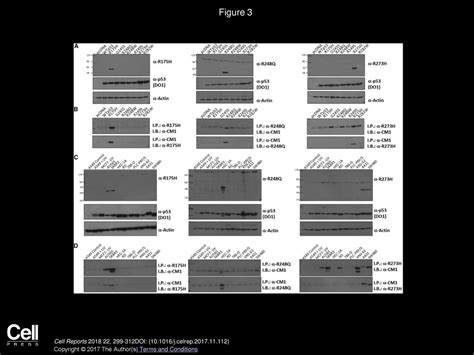 Volume 22 Issue 1 Pages January 2018 Ppt Download