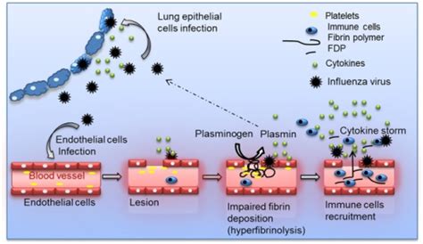 Influenza A Virus An Overview