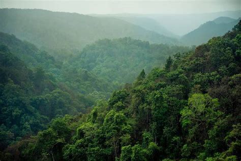 Anshi National Park Dandeli How To Reach Best Time Tips