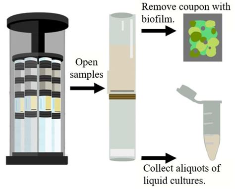Microorganisms Special Issue Microorganisms From Extreme Environments Versatile Tools From