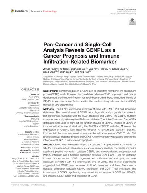 Pdf Pan Cancer And Single Cell Analysis Reveals Cenpl As A Cancer