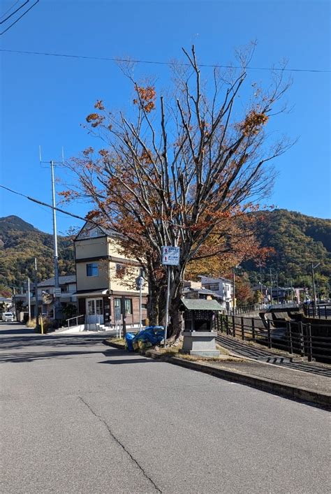京都市左京区 修学院辺りを散策 ゆっくりの〜んびり楽しく行こ〜♪