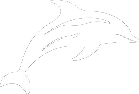 Spectacled Porpoise Outline Silhouette 38488550 Vector Art At Vecteezy