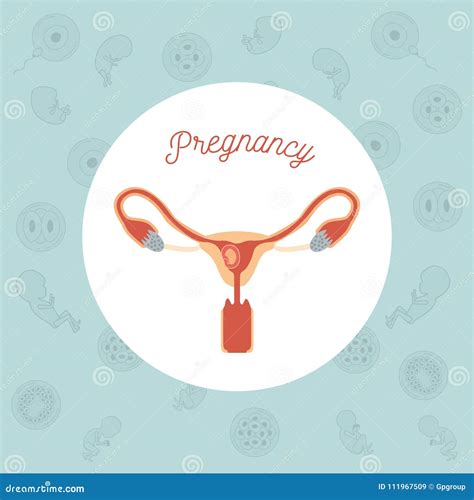 Green Color Background Pattern Pregnancy Icons With Fetus Human Embryo