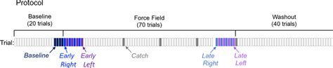 protocol participants performed 130 consecutive trials each