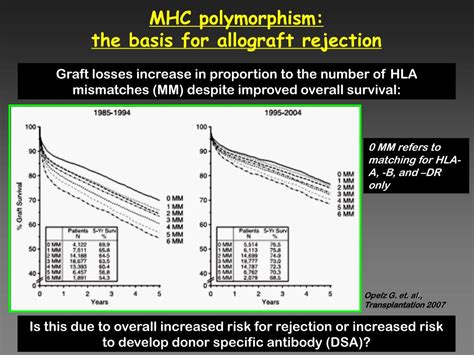 Ppt Structurally Based Hla Matching A Useful Tool To Fill The Gaps