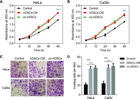 The Effect Of Adscs Derived Conditioned Medium Adscs Cm Or Co Culture