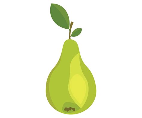 Premium Vector Pears