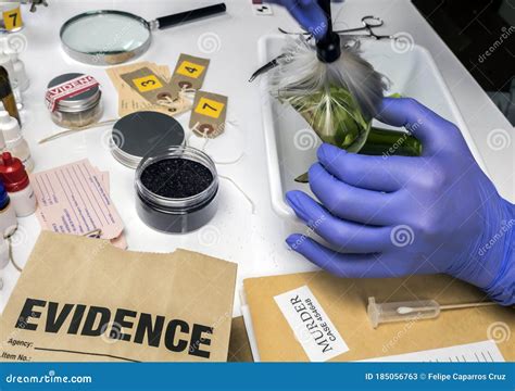 Expert Police Measures Bullet Caliber In Ballistic Lab Royalty Free
