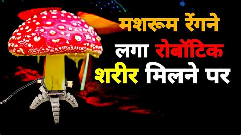 मशरूम रेंगने लगा Mushroom Learns To Crawl After Being Given Robot Body The Future Roots