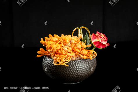 虫草花 中国菜系 食品餐饮 摄影素材 汇图网www huitu