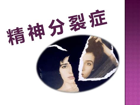 精神分裂症 介绍及案例 word文档在线阅读与下载 无忧文档