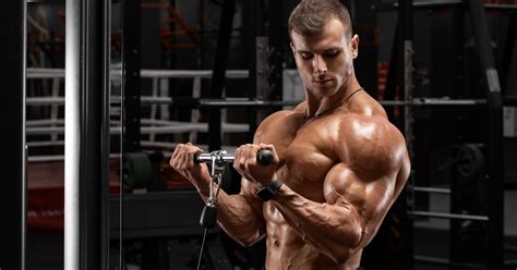 Musculação mais peso ou treinar mais vezes Eis a resposta