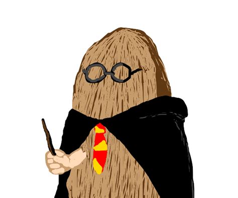 Wizard Puberty Drawception