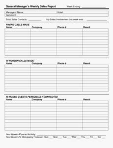 Salesman Weekly Sales Activity Report Template
