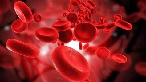 Health Tips रक्त की कमी दूर करने के लिए खाएं हरी सब्जियां लापरवाही न