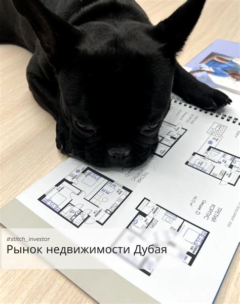 Рынок недвижимости в Дубае Telegraph
