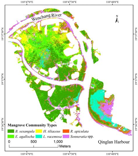 Classification and distribution map of mangroves in the study area. | Download Scientific Diagram
