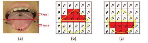 A Initial Contour For Active Contour Model Based On Characteristic Download Scientific