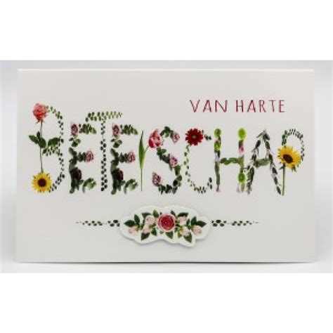 Wenskaart 6 Stuks ADIOS Applicatiekaart Beterschap Bloemen