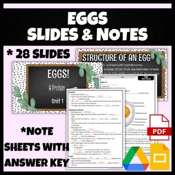 Eggs Slides And Note Sheets FCS FACS Cooking By Messy Life Happy Heart