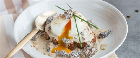Croûte aux morilles Oeuf poché Recette d entrée pour Noël