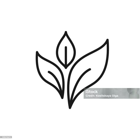 黑色被隔絕的葉的輪廓圖示 植物在白色背景葉子的線條圖示向量圖形及更多商標圖片 商標 樹葉 一個物體 Istock