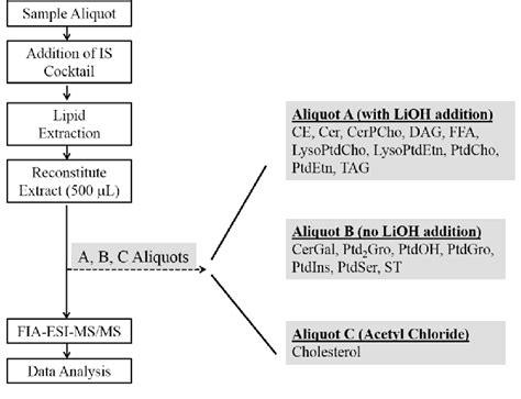 Proposed Workflow Diagram Of The Developed Comprehensive Lipidomics Download Scientific Diagram