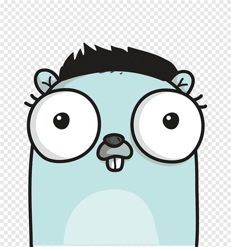 Gopher Computer Software Implementation Computer Programming Computer