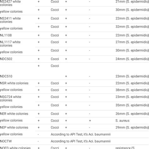 Biochemical Test For Gram Positive Bacteria In Nnuh 1st Time Download Scientific Diagram