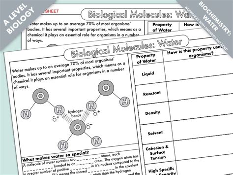 Biochemistry Functional Groups Activity For High School Biology