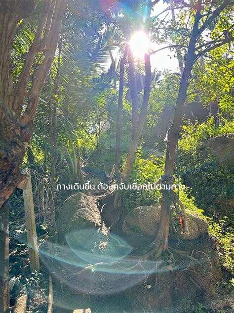 จุดชมวิวเกาะเต่า John Suwan แกลเลอรีที่โพสต์โดย Goggaggygy Lemon8