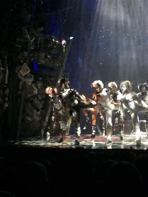 Mike Puru On Twitter Cats Musical Cats Musicals