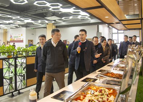 知政情,察民情!人大代表、政协委员开展会前视察活动 知政情,察民情!人大代表、政协委员开展会前视察活动