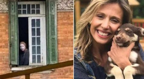 Luisa Mell vira meme após entrar na mansão da mulher da casa abandonada