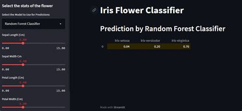 Data Scientist Data Science Projects